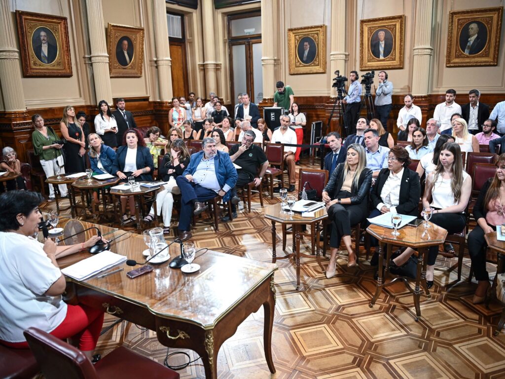 La bicameral clave arrebatada al oficialismo por K y radicalismo ...